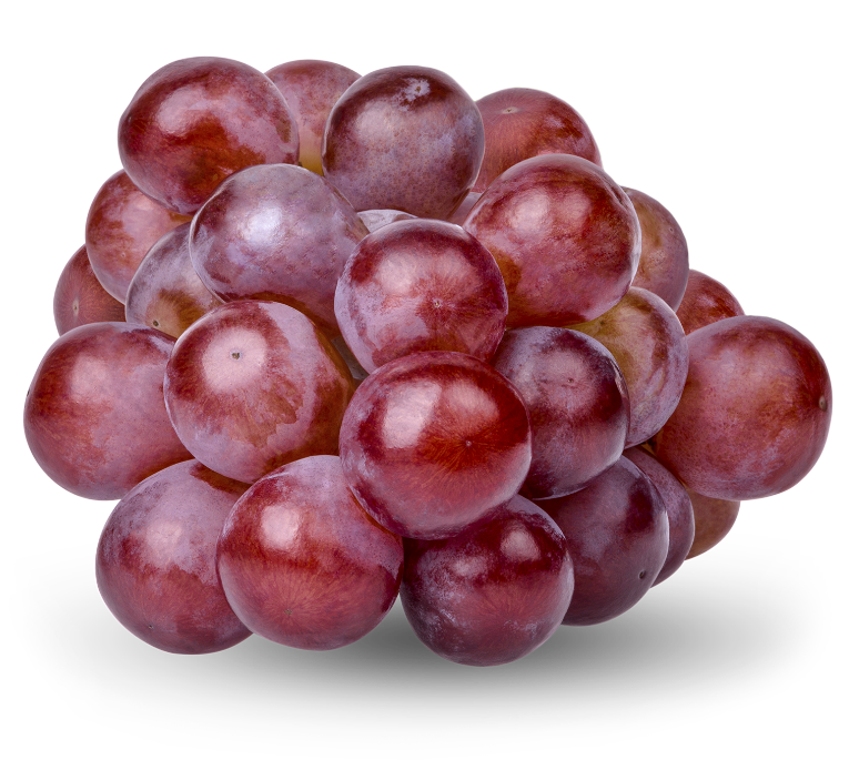 Grapes - Beta Best