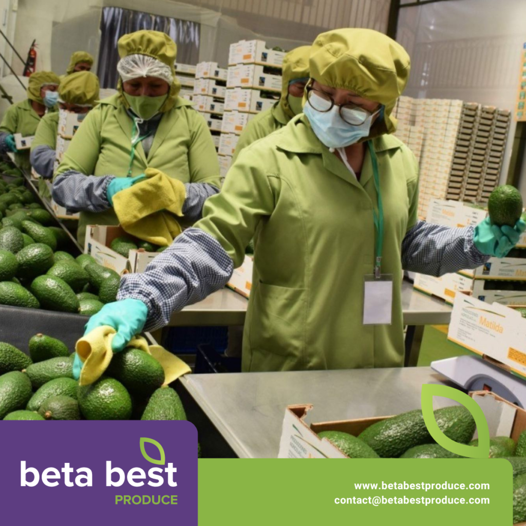 Peruvian produce is well positioned in the European market and exports ...